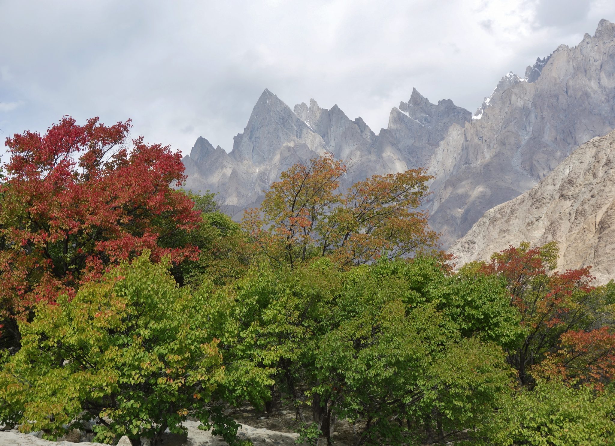 Machulo La Trek - Trip Report - Pakistan Travel Blog